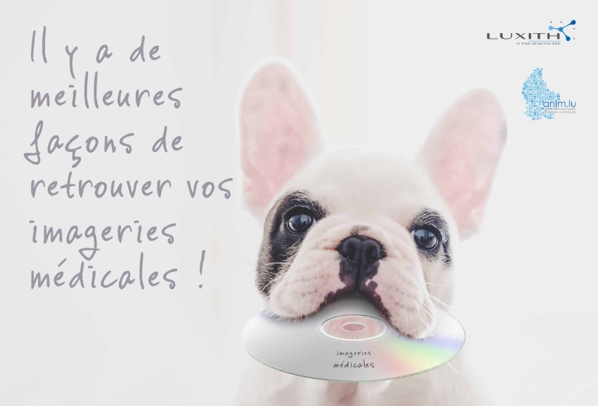 Les résultats de radiographies ou d’imageries médicales à portée de ...