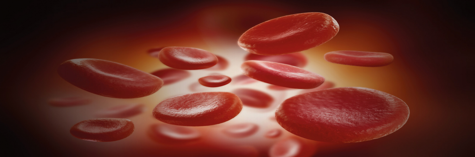 Blutkriibs-Cancer du sang | CHL